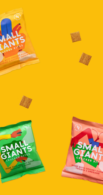 Small Giants | Insect - based Food