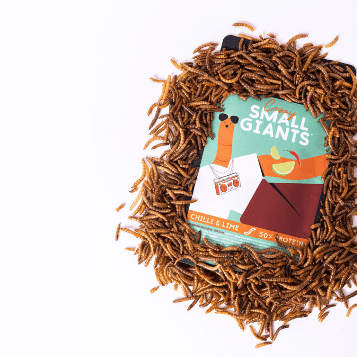 Small Giants | Insect food