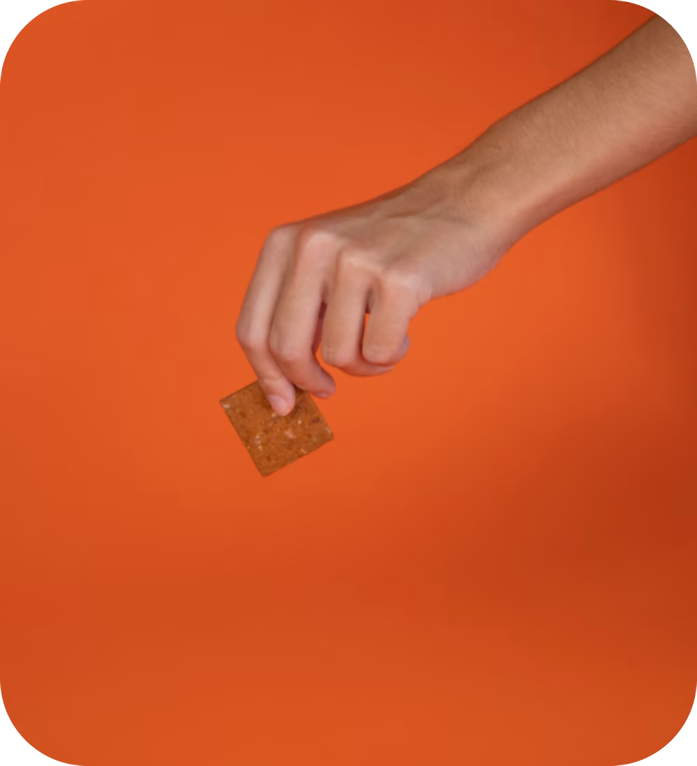 Small Giants | Insect - based Food